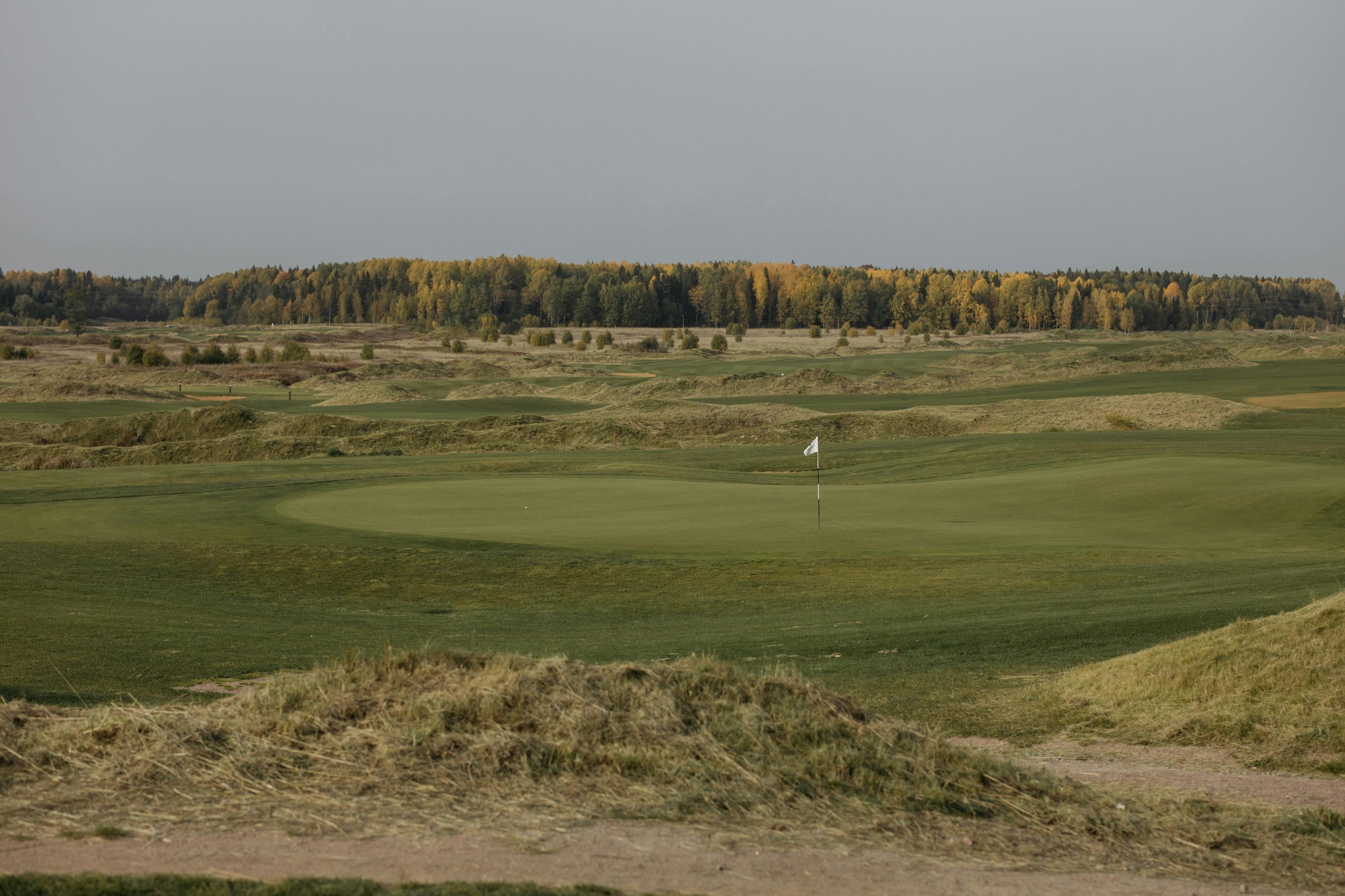 When to Be Aggressive vs. Conservative Based on Pin Location – PrimePutt
